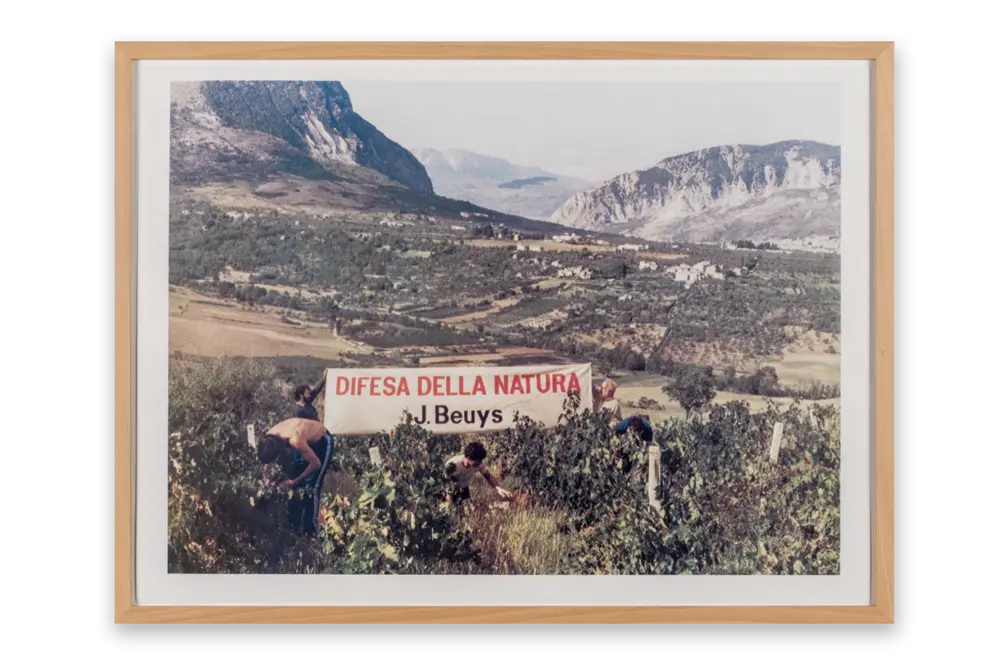 Joseph Beuys: In Defense of Nature | The Broad